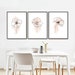 Boho Print Set of 3 Poppy Flower Posters Printable Artwork - Etsy