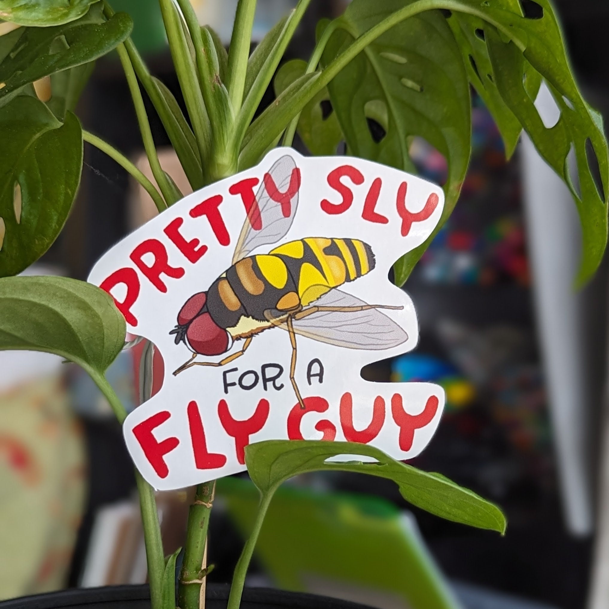 Pretty Sly for a Fly Guy Sticker - Etsy