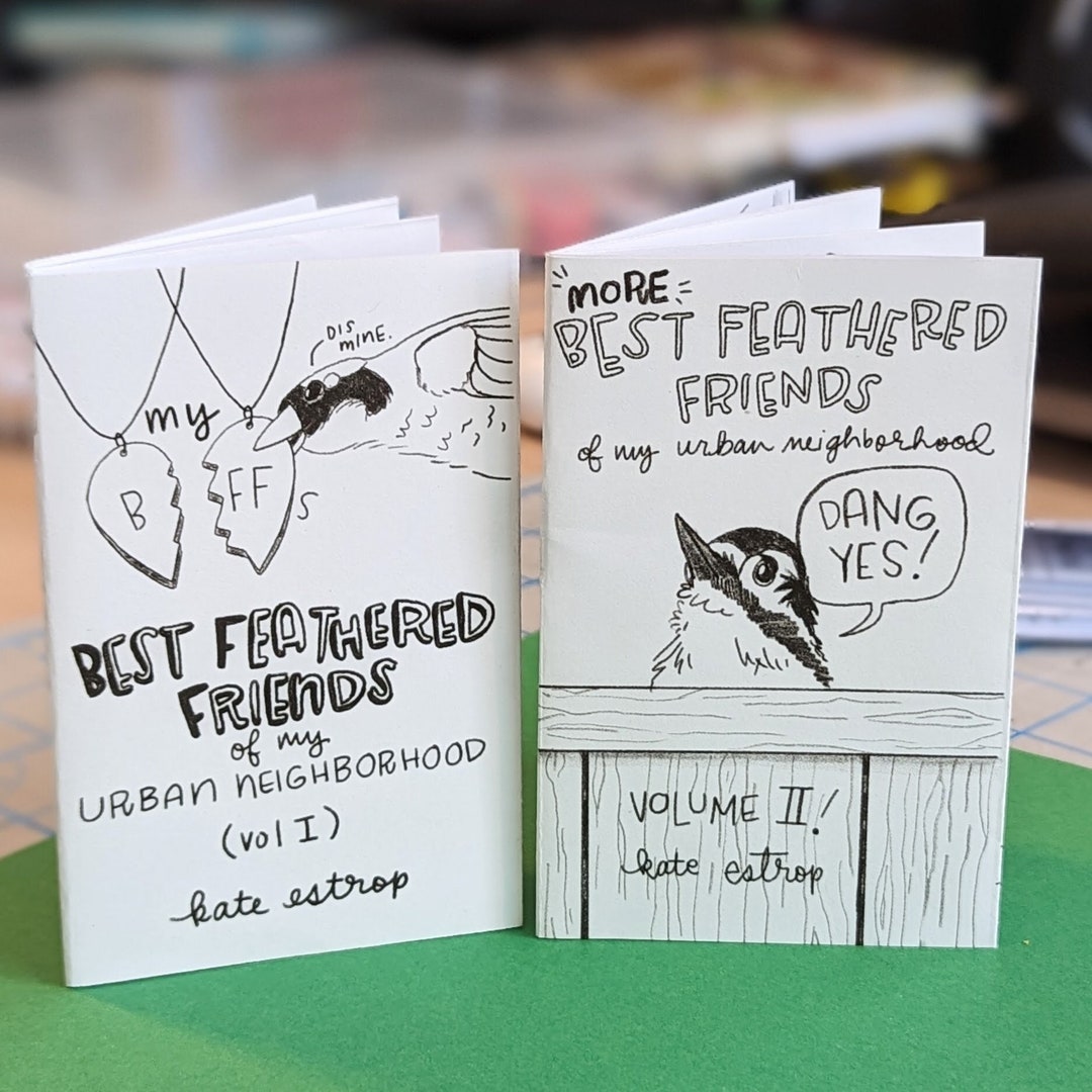 Bird Mini Comic Zine: Best Feathered Friends of My Urban Neighborhood ...