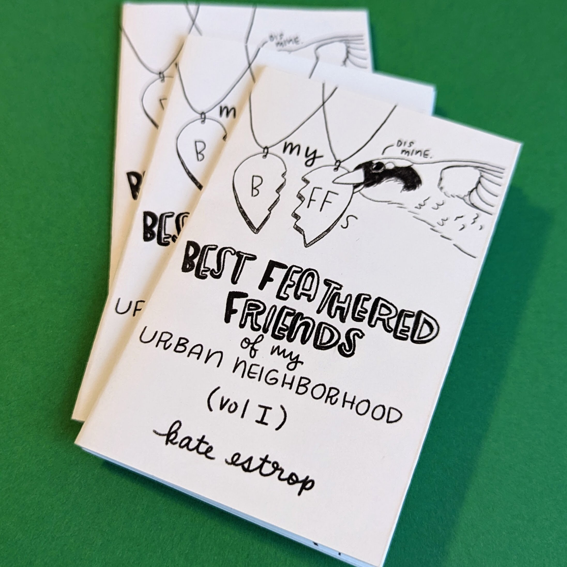 Bird Mini Comic Zine: Best Feathered Friends of My Urban Neighborhood ...