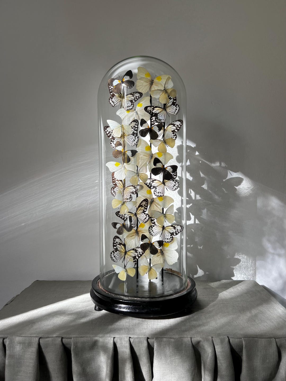 Abstract Yellows - Subtle Yellow Butterflies - One of a Kind Butterfly ...