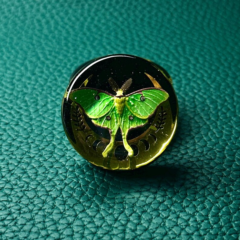 Lunar Moth Resin Plugs, Gold Moon Phase Gauges, Handpainted - Etsy