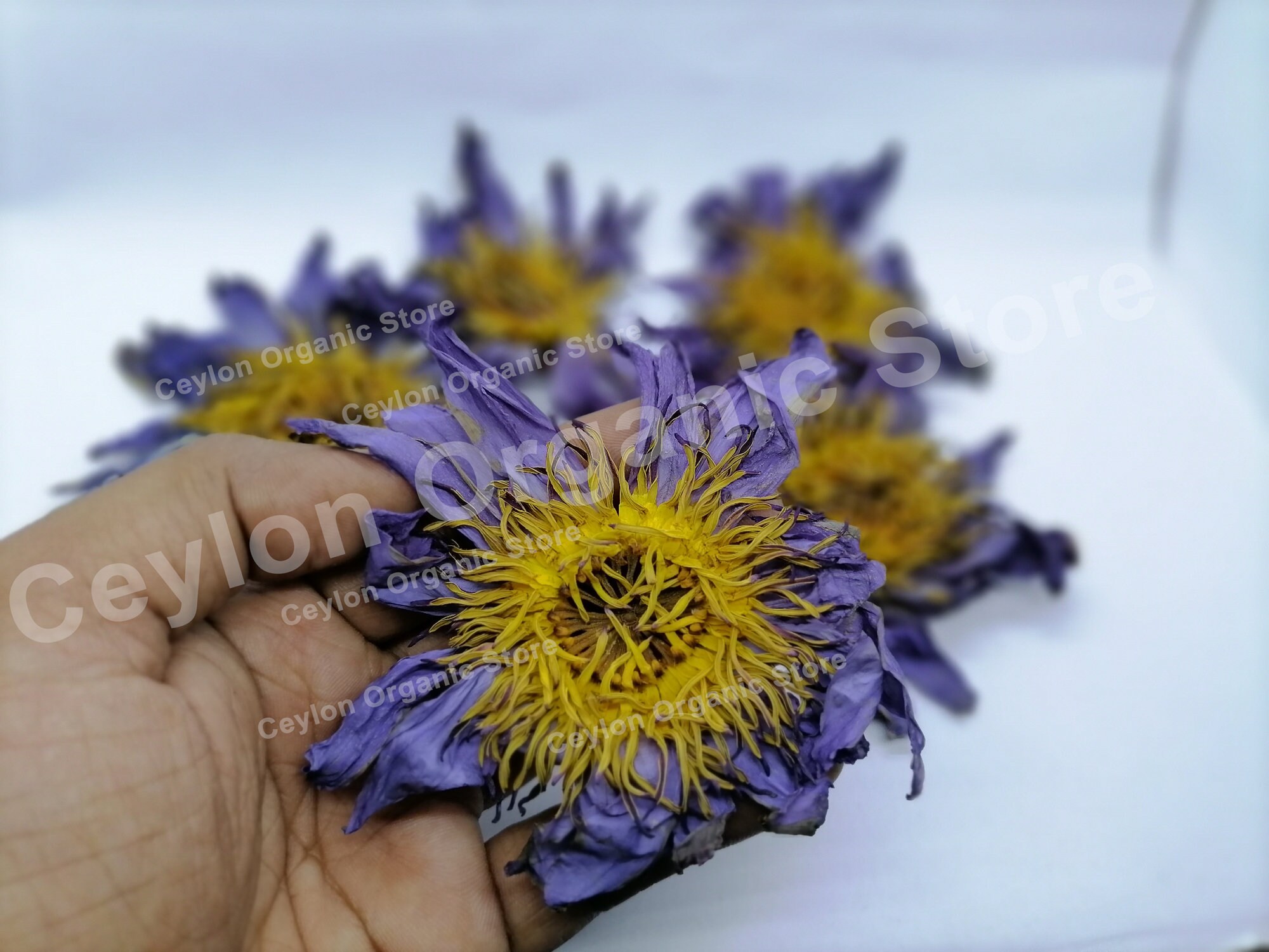 2oz 56g Dried Blue Lotus Nymphaea Caerulea Flower Tea, Blue Lotus ...