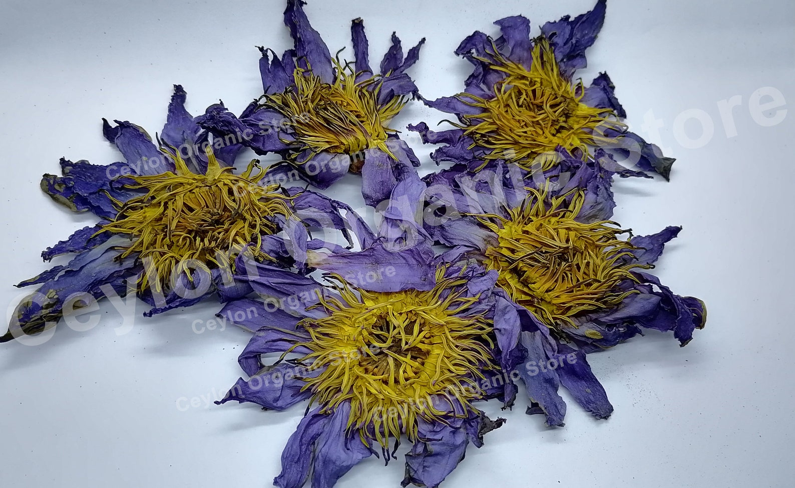 2oz 56g Dried Blue Lotus Nymphaea Caerulea Flower Tea, Blue Lotus ...