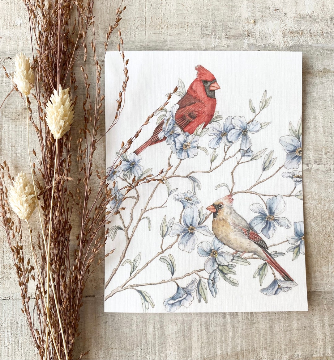 Cardinal Note Card Set in Memory of Redbirds Male and Female Cardinal ...