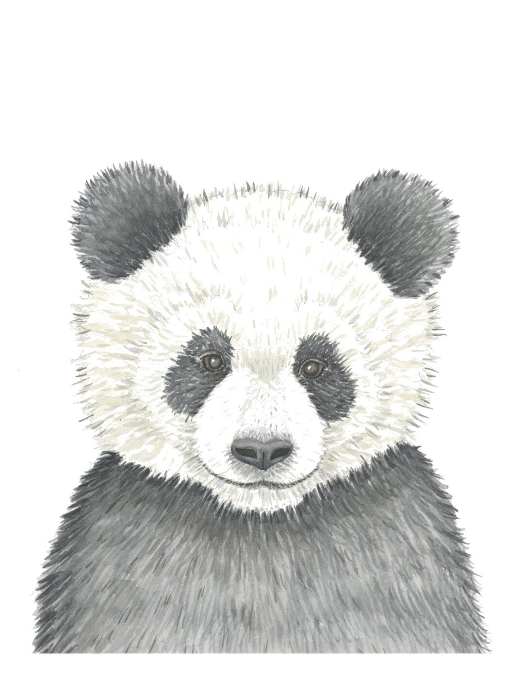 Panda - Wild Animals Collection - Etsy