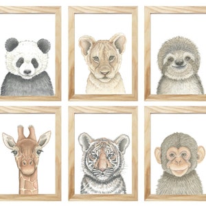 Panda - Wild Animals Collection - Etsy
