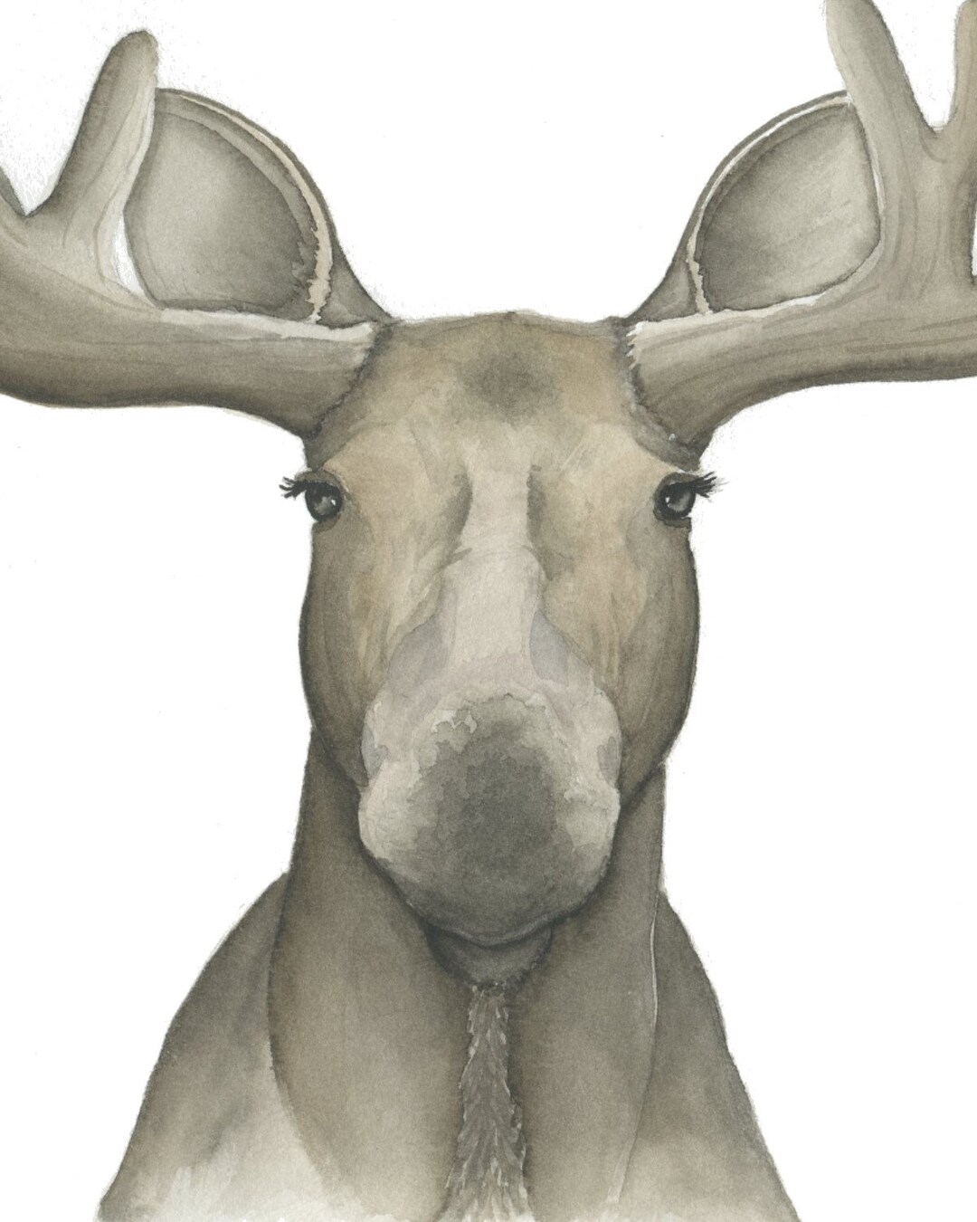 Marty the Moose - Frontier Friends Collection - Etsy