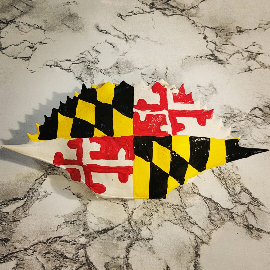 Maryland Flag Crab Shell - Etsy
