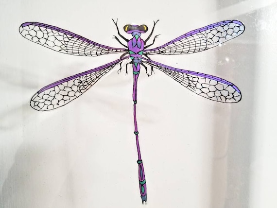 Purple Damselfly