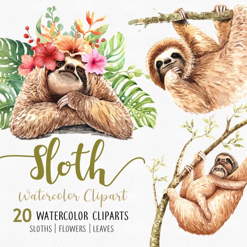 Sleepy Sloths Clipart Baby Watercolor Sloth Clip Art Mommy | Etsy