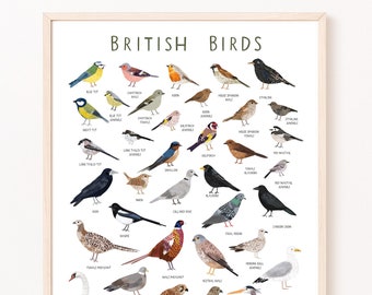 British Garden Bird Prints , Watercolour Birds , Wall Art , Home Decor ...