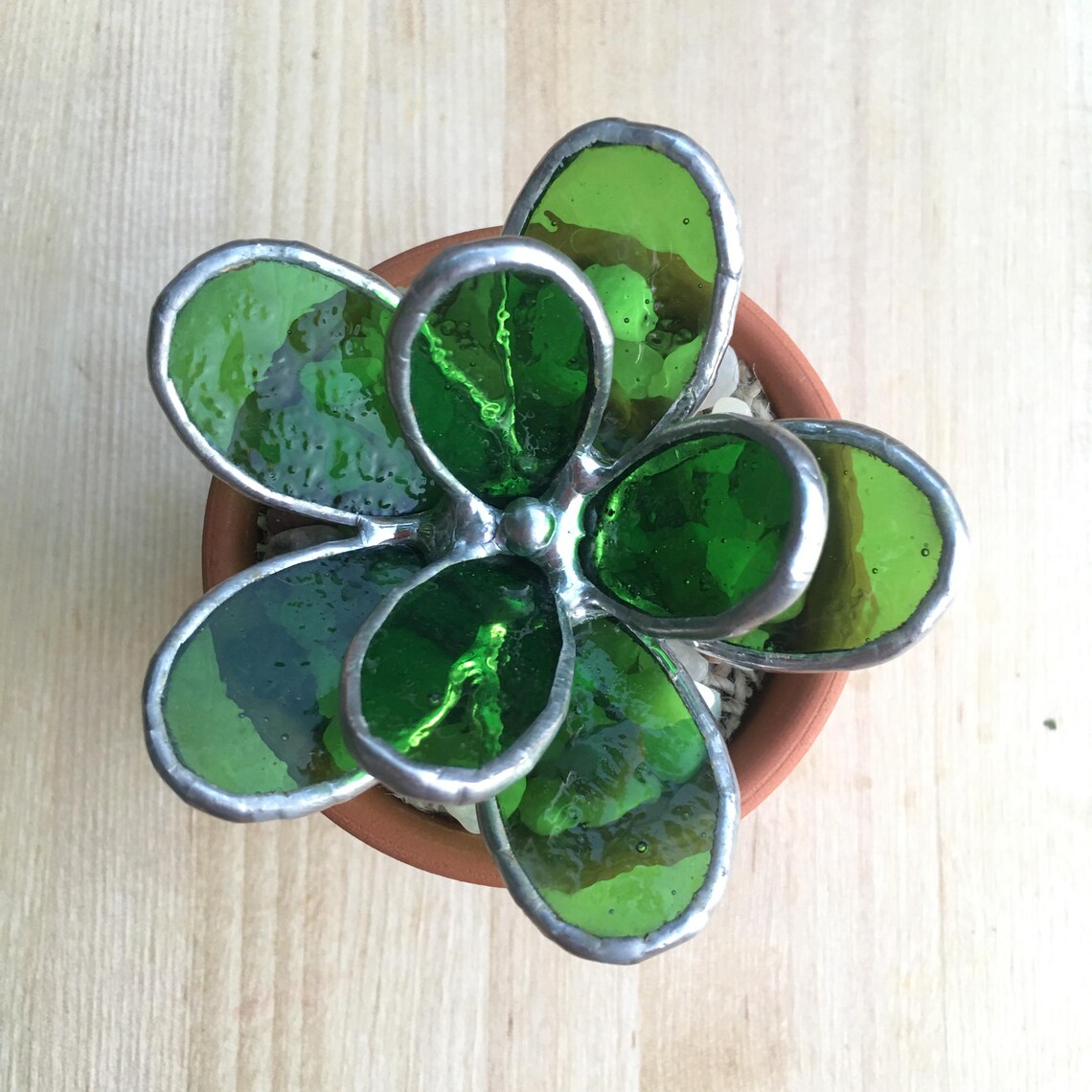 Medium Stained Glass Succulent | 3D Stained Glass Art | Plants | Home ...