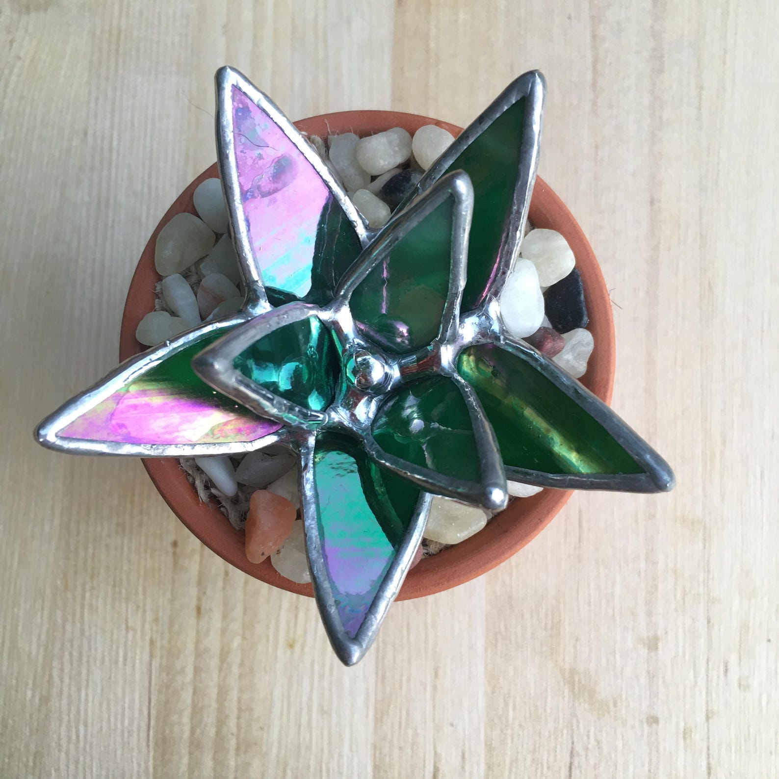 Medium Stained Glass Succulent | 3D Stained Glass Art | Plants | Home ...