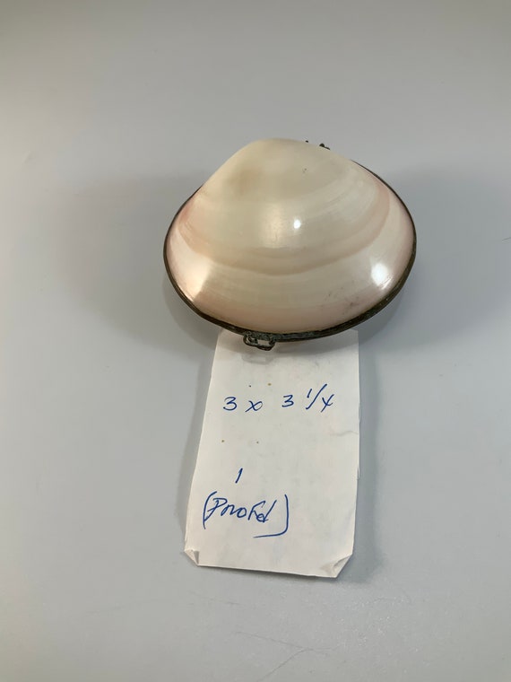 Large BEAUTIFUL Sea shell Clam trinket box with brass… - Gem