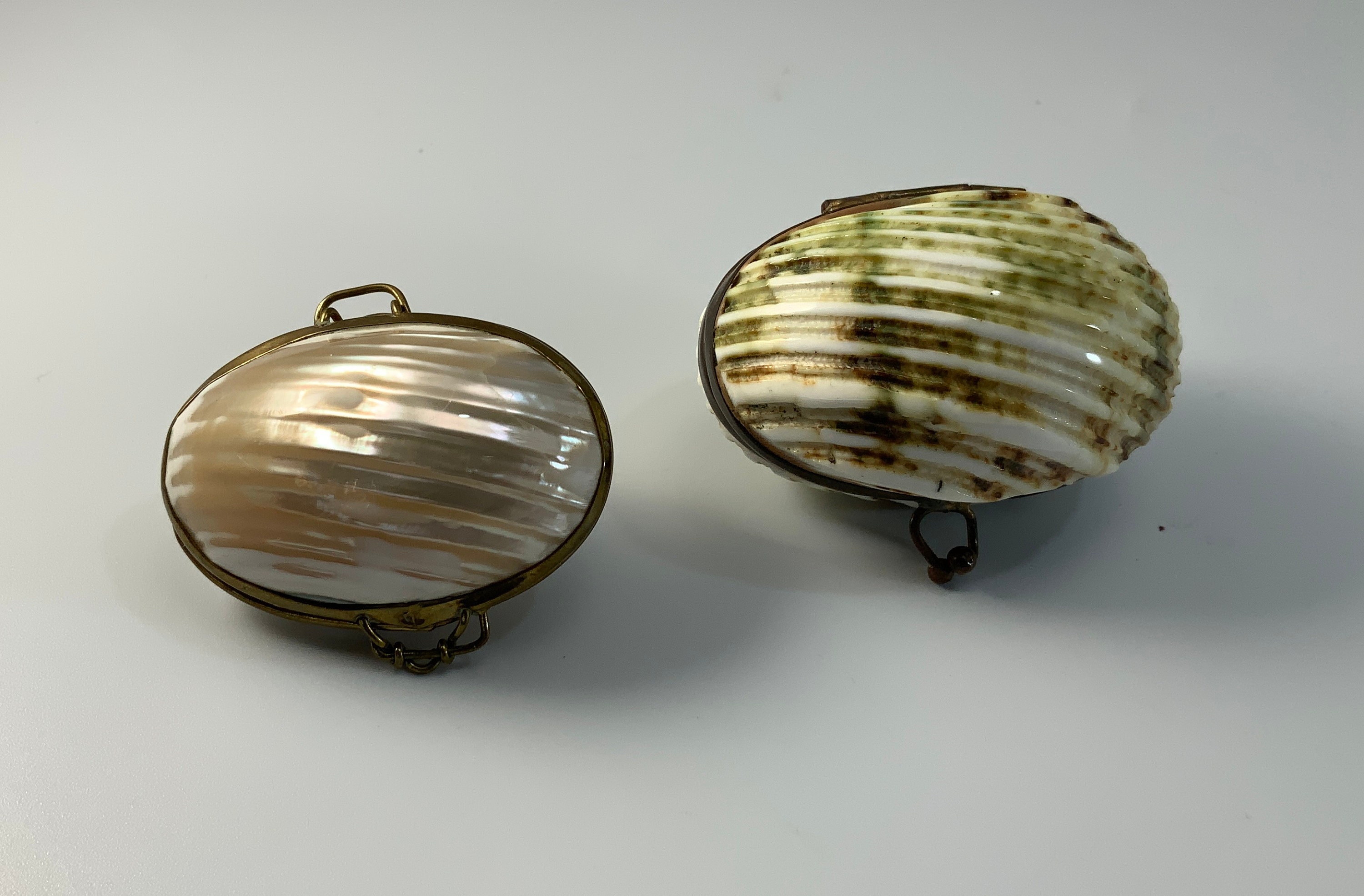 Set of 2 Real Sea Shells Trinket / Pill Boxes- One Measuring Approx. 1 ...