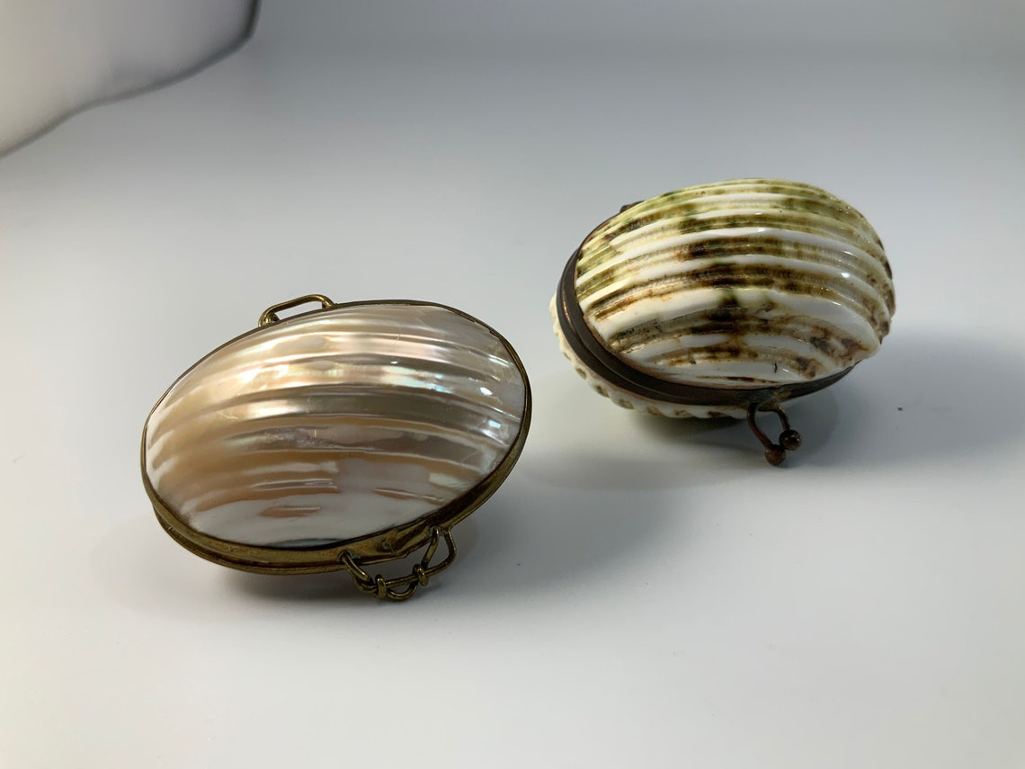 Set of 2 Real Sea Shells Trinket / Pill Boxes- One Measuring Approx. 1 ...