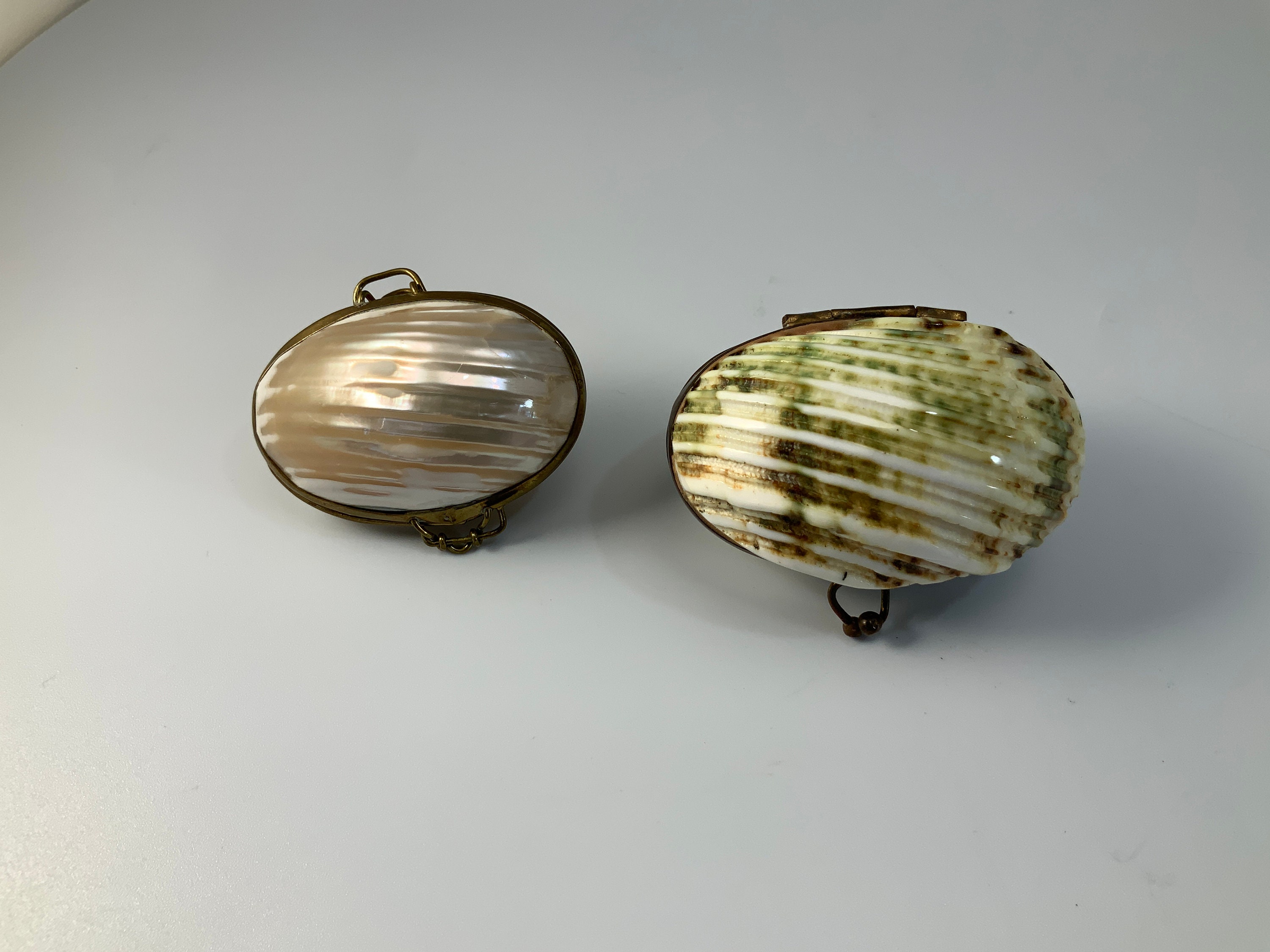Set of 2 Real Sea Shells Trinket / Pill Boxes- One Measuring Approx. 1 ...