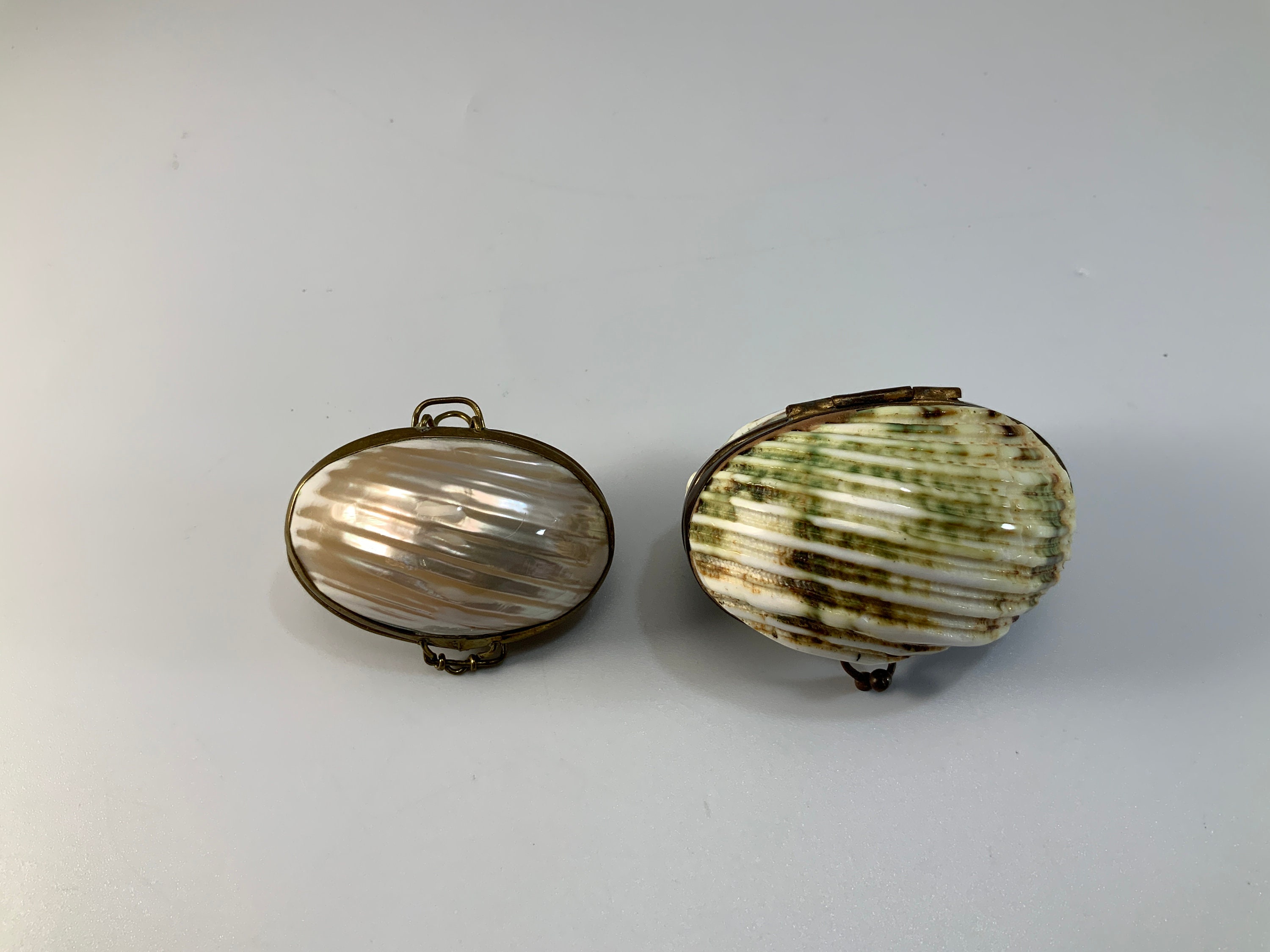 Set of 2 Real Sea Shells Trinket / Pill Boxes- One Measuring Approx. 1 ...