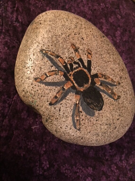 Tarantula Rock Art People Collect Spiders Like Pokemon': Why The