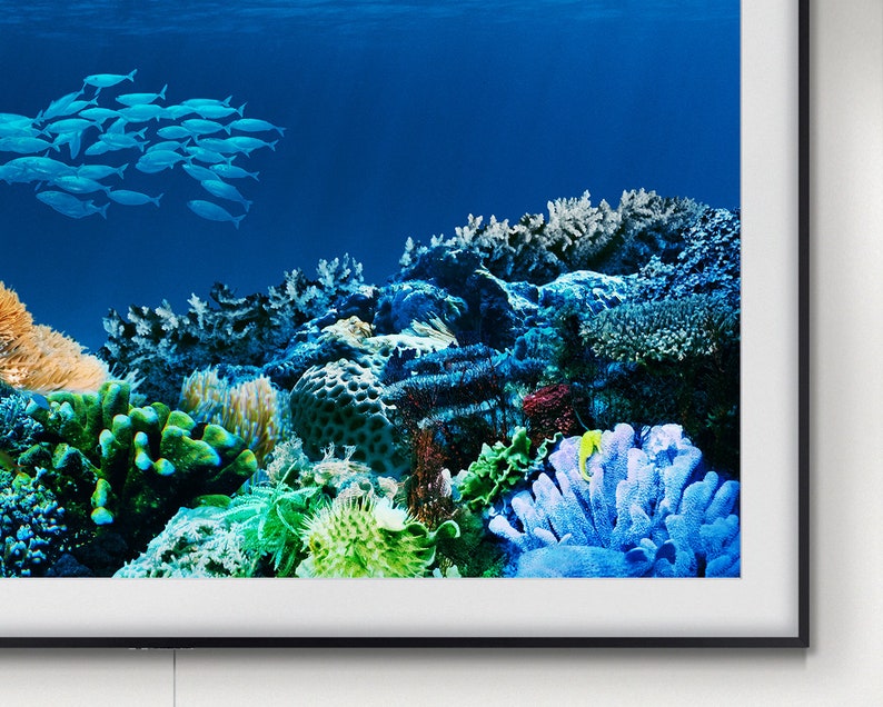Ocean Coral Reef Art for Samsung Frame TV (digital Download) - Etsy