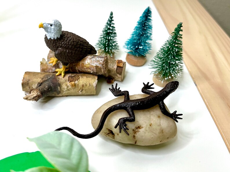 Wildlife Sensory Kit | Play Dough Sensory Bin | Nature Activity ...