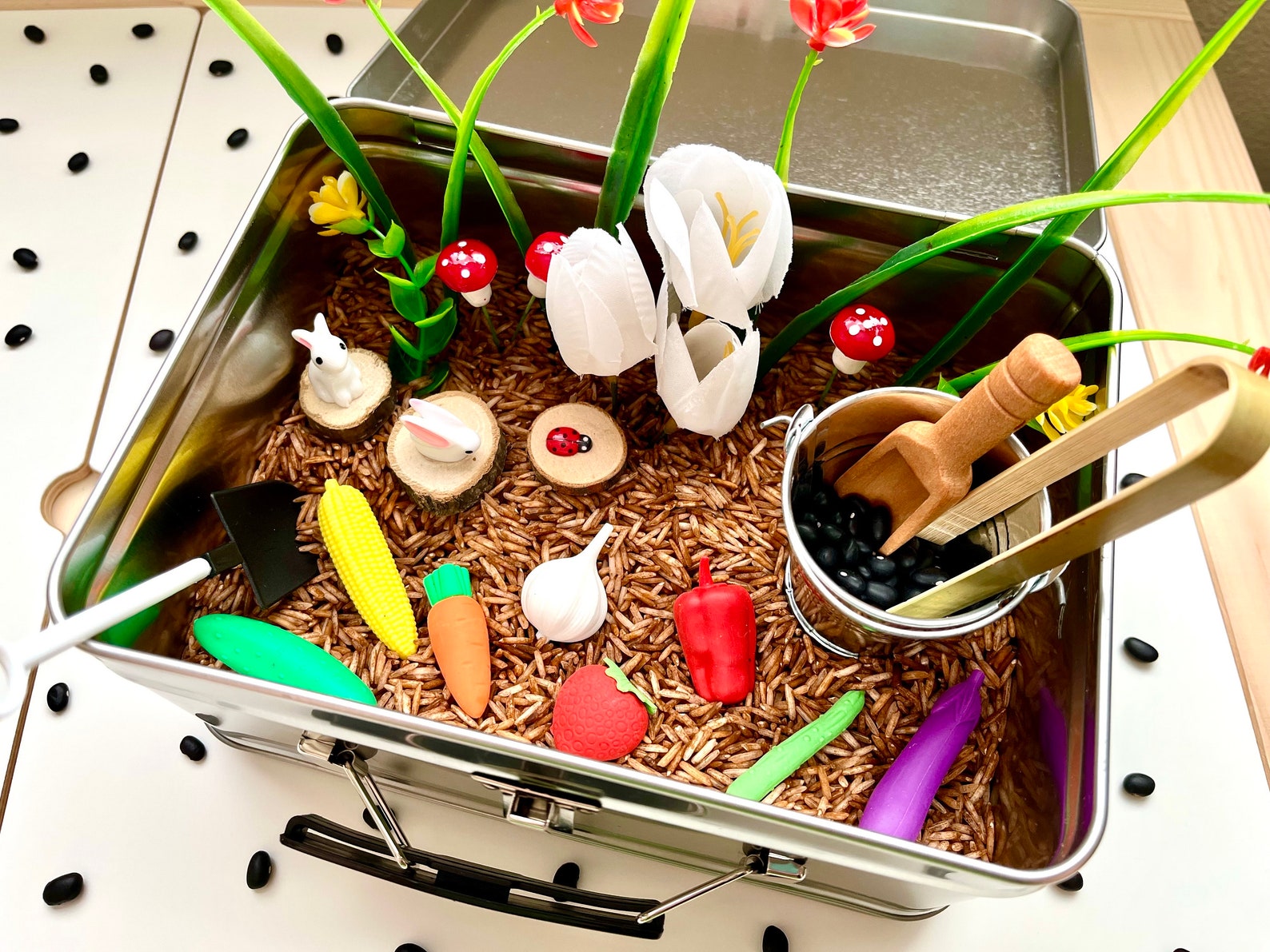 Garden Sensory Bin Sensory Rice Kit Vegetable Harvest - Etsy
