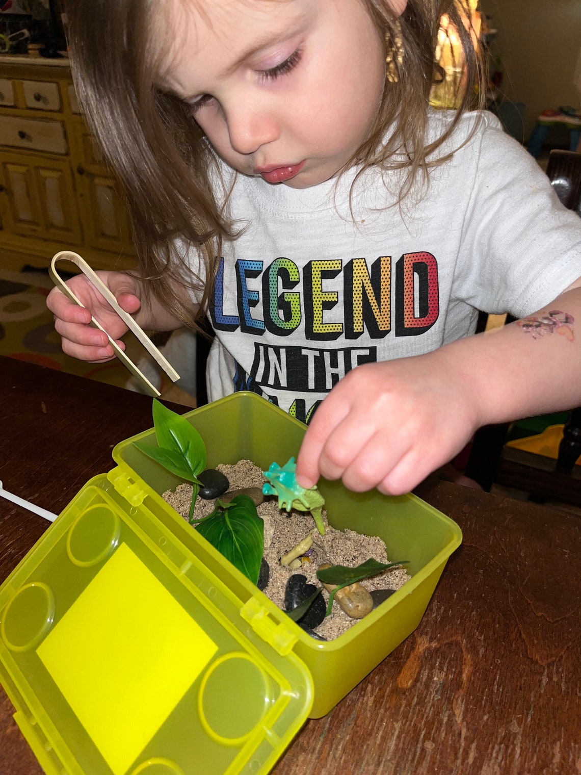 Dinosaur Excavation Mini Sensory Bin | Dino Dig | Sensory Sand Kit ...