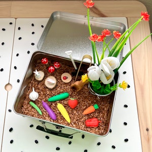 Garden Sensory Bin | Sensory Rice Kit | Vegetable Harvest | Flower ...