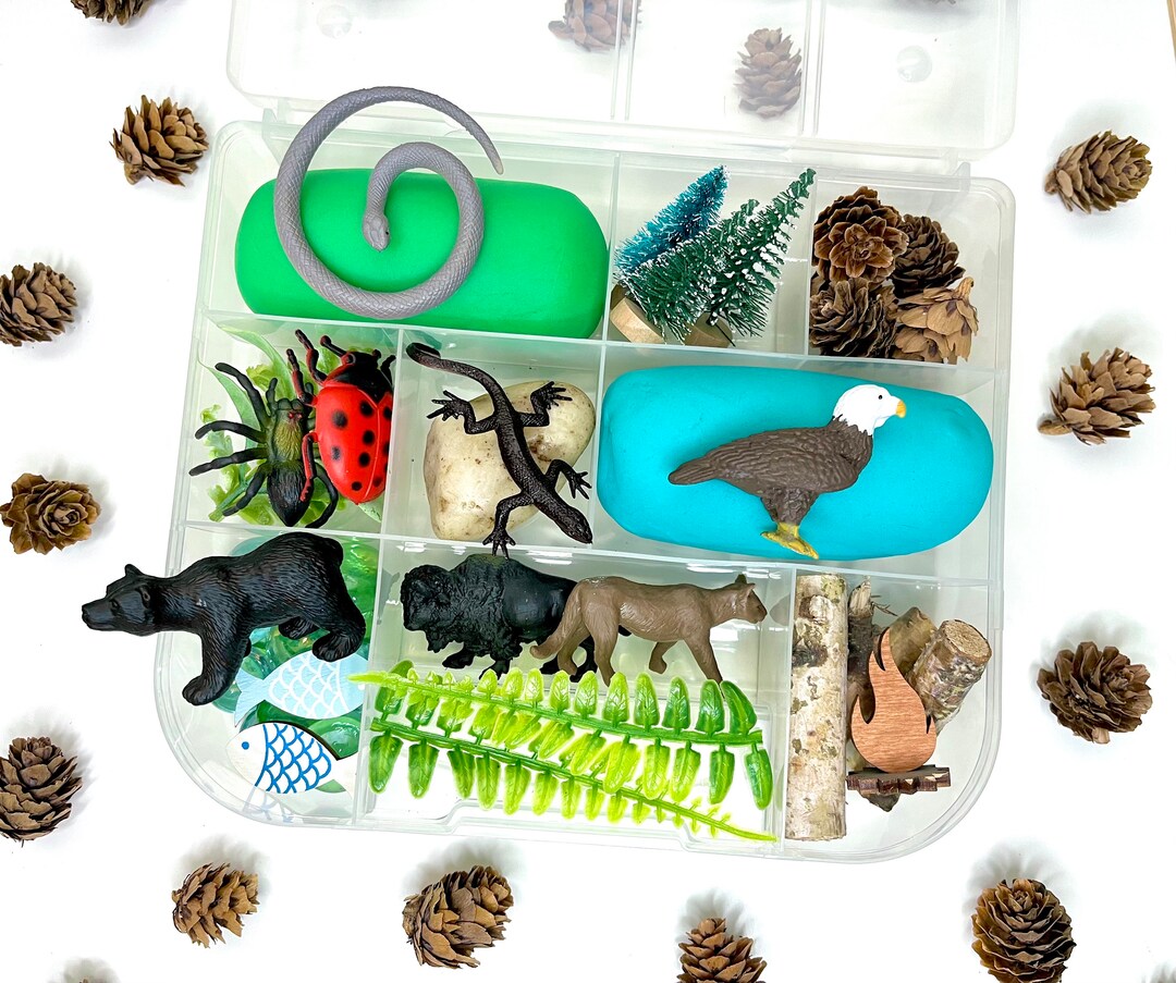 Wildlife Sensory Kit | Play Dough Sensory Bin | Nature Activity ...