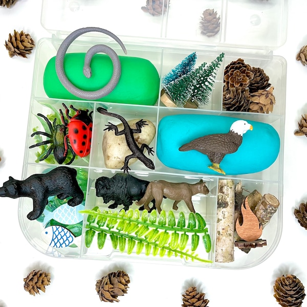 Honey Bee Sensory Kit Play Dough Sensory Bin Pollinator Toddler Gift ...