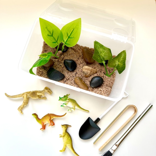 Dinosaur Excavation Kit - Etsy