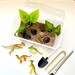 Dinosaur Excavation Mini Sensory Bin | Dino Dig | Sensory Sand Kit ...
