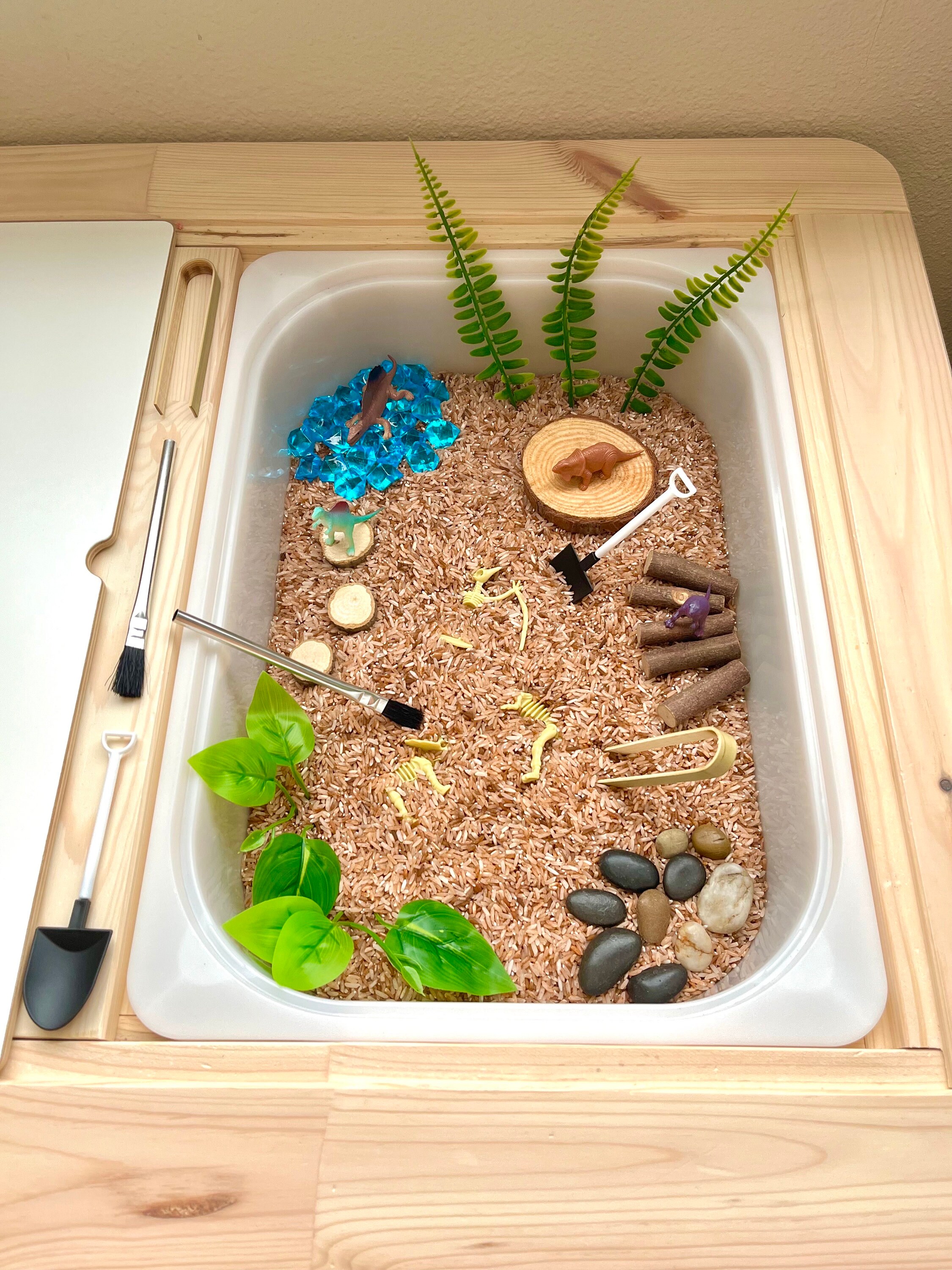 Dinosaur Excavation Pour & Play Sensory Kit | Flisat Activity Kit ...