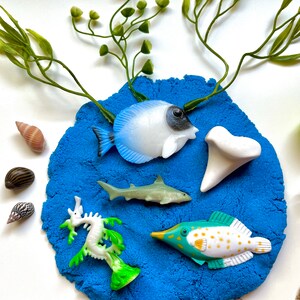 Ocean Sensory Kit | Sensory Sand Kit | Sea Animals | Message in a ...