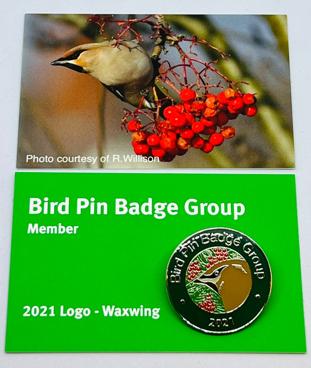 Bird Pin Badge Group 2021 Members Enamel Pin Badge - Etsy