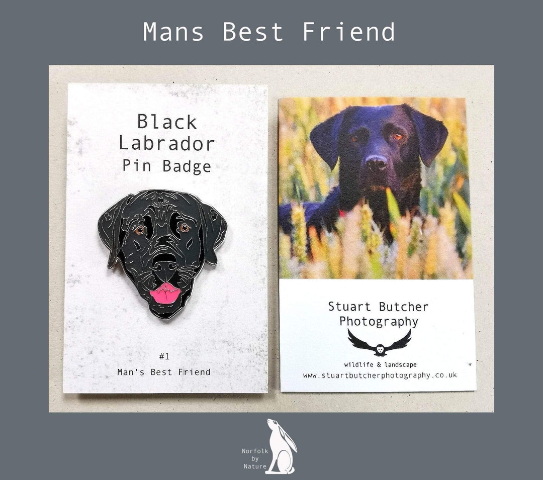 Black Labrador - #1 - Enamel Pin Badge - Man’s Best Friend - Etsy