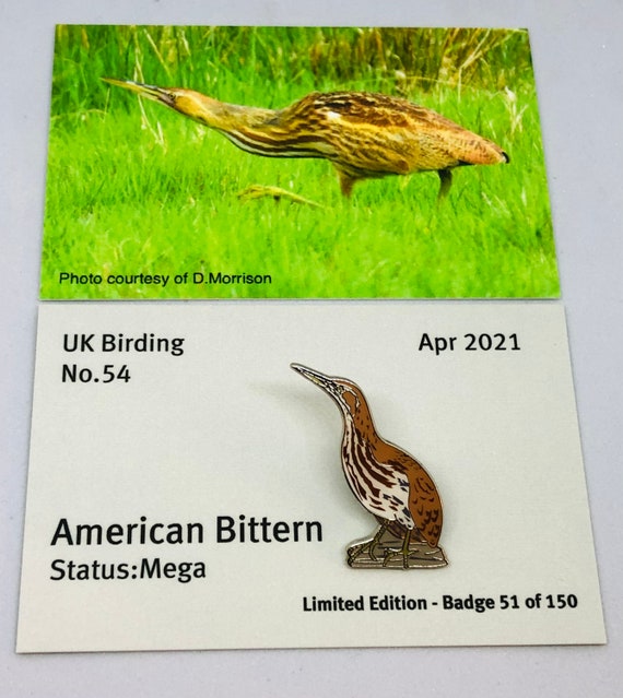 American Bittern UK Birding Enamel Pin Badge - Etsy