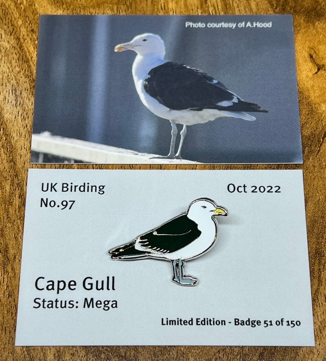 Cape Gull No.97 UK Birding Enamel Pin Badge - Etsy
