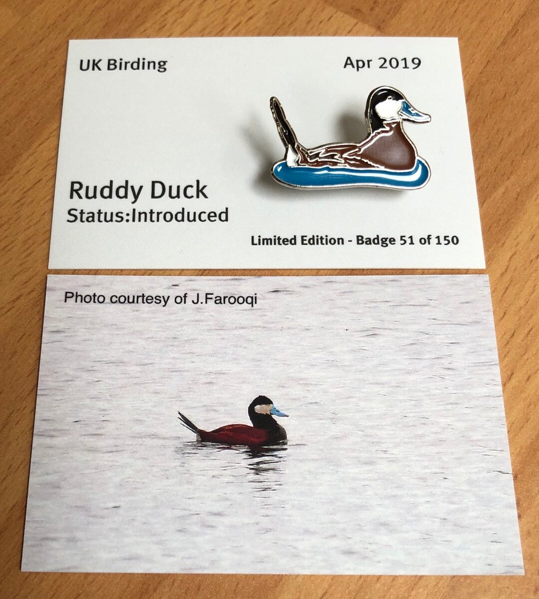 Ruddy Duck Enamel Pin Badge - Etsy