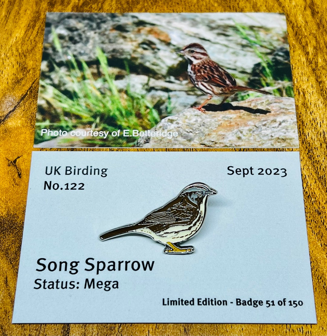 Song Sparrow - No.122 - UK Birding - Enamel Pin Badge - Etsy