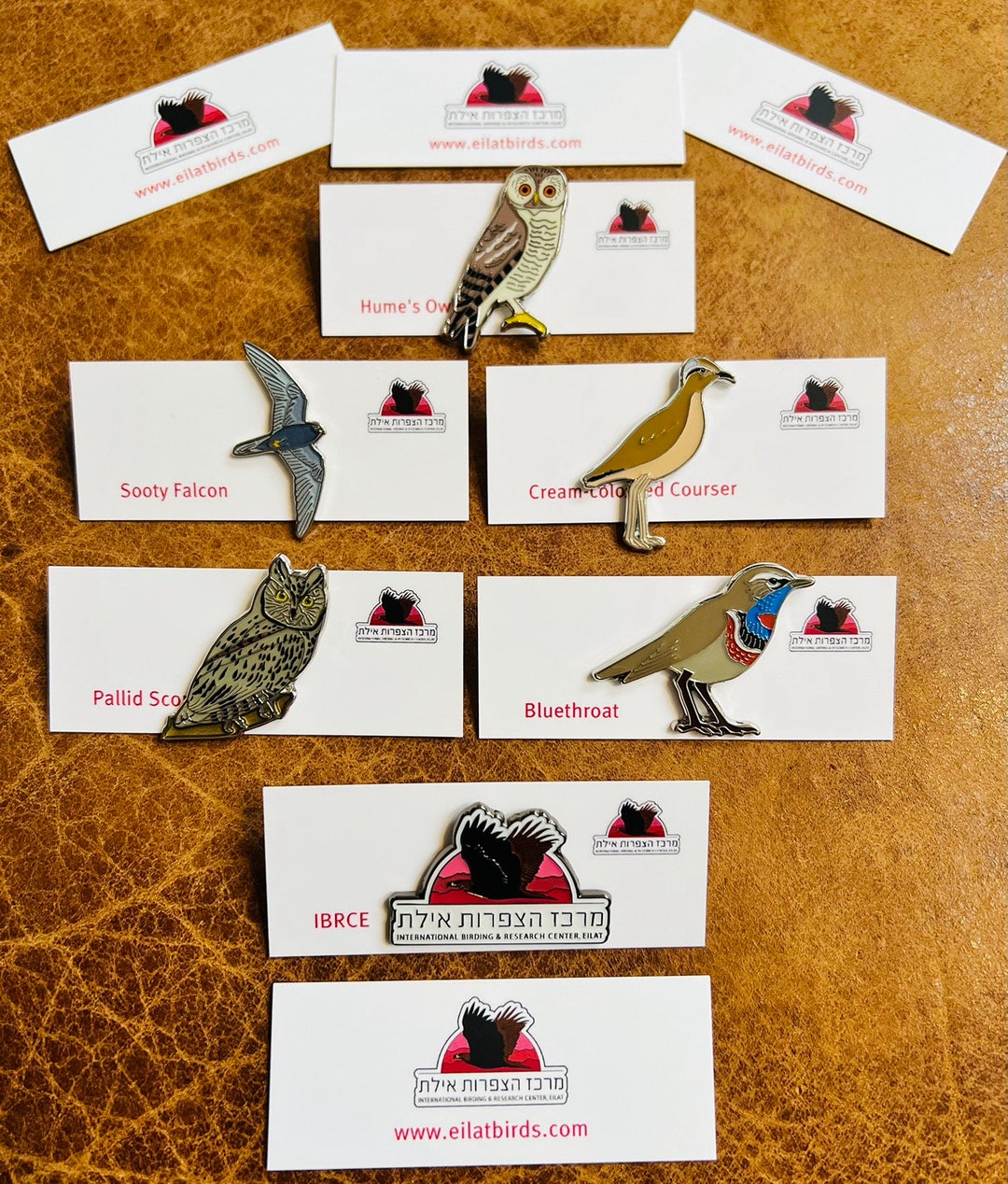 IBRCE - International Birding Research Center Eilat Series - Enamel Pin ...