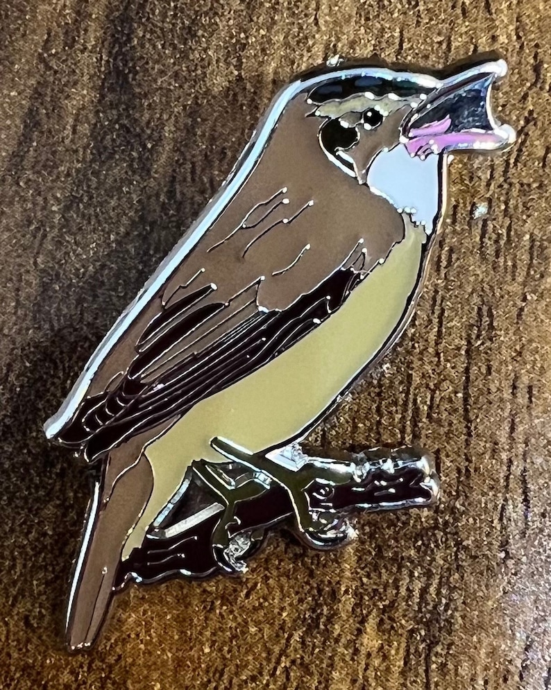 Sedge Warbler - UK Birding Pins - Enamel Pin Badge - Unnumbered - Etsy