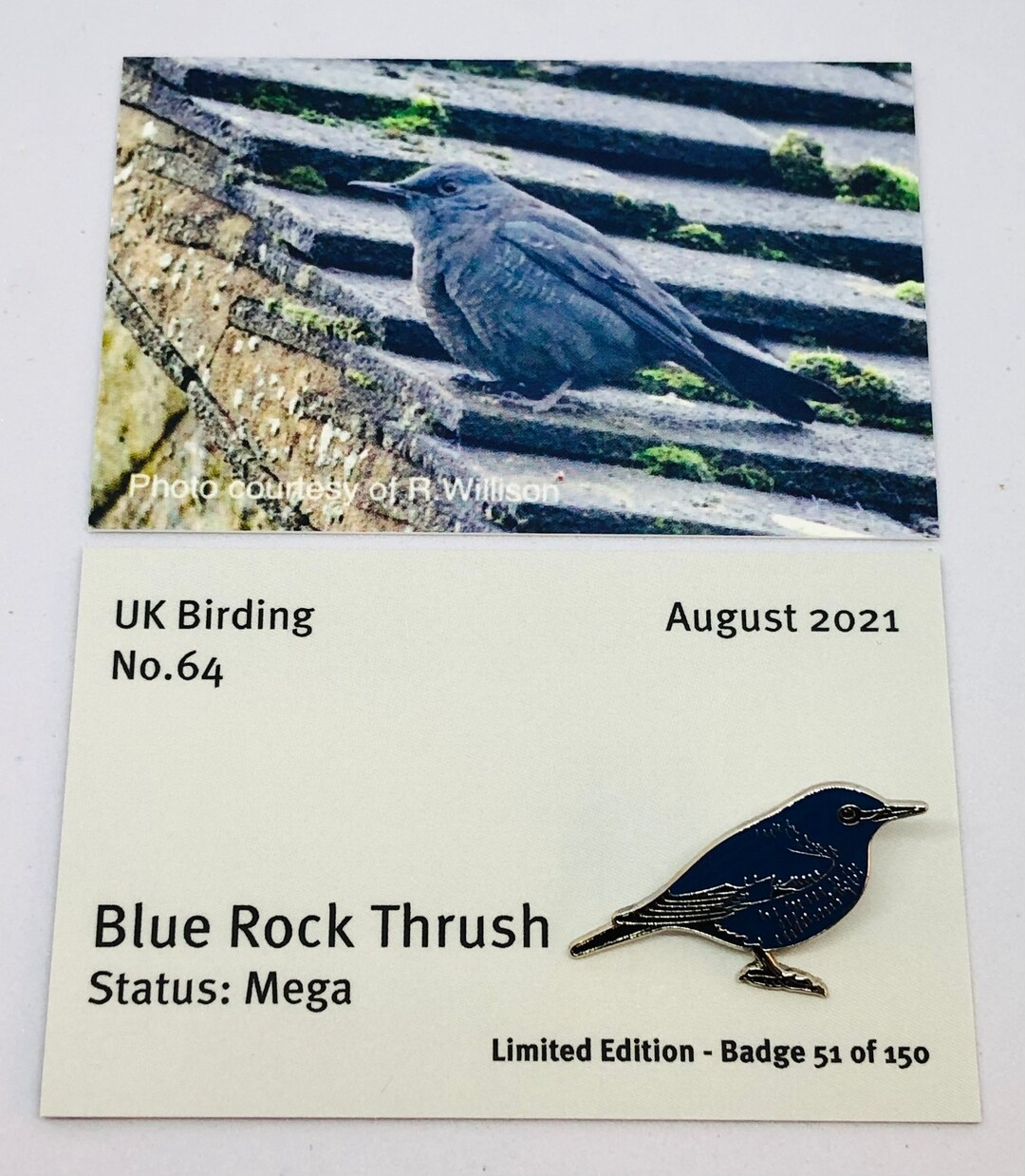 Blue Rock Thrush - UK Birding - Enamel Pin Badge - Etsy