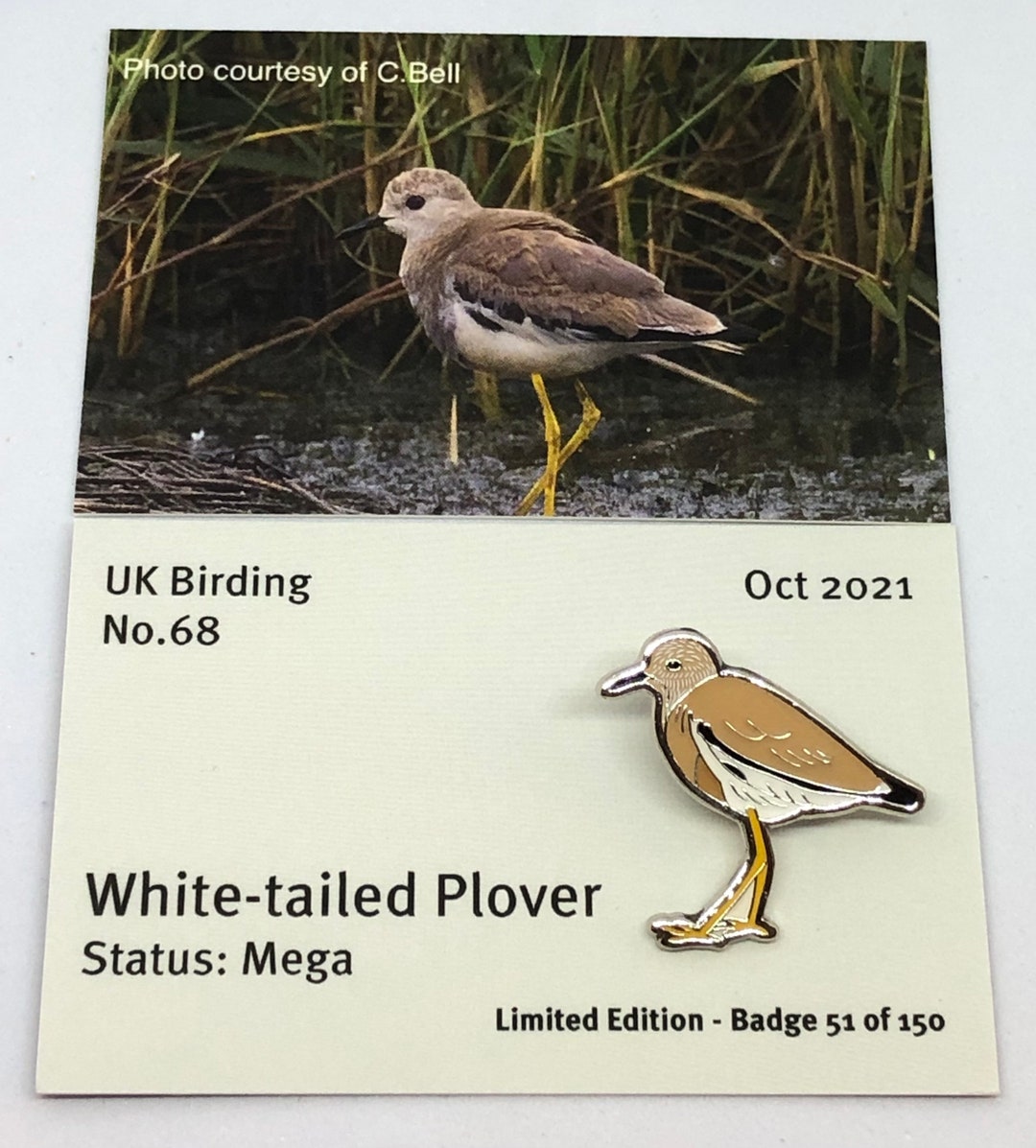 White-tailed Plover - UK Birding - Enamel Pin Badge - Etsy