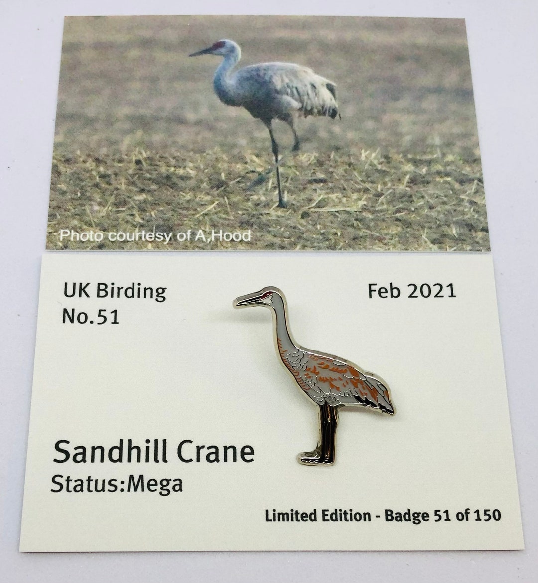 Sandhill Crane - UK Birding - Enamel Pin Badge - Etsy
