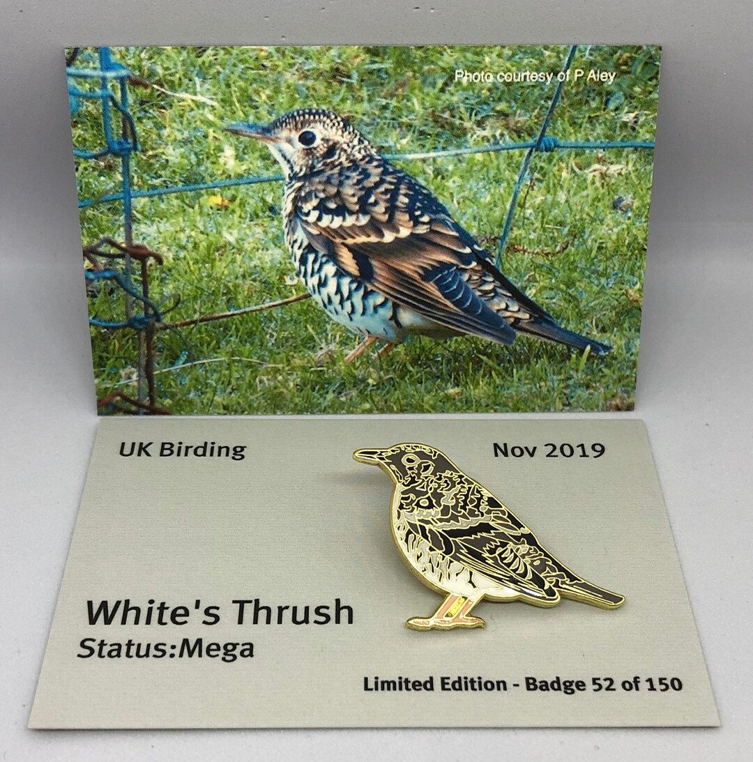 White’s Thrush Enamel Pin Badge - Etsy