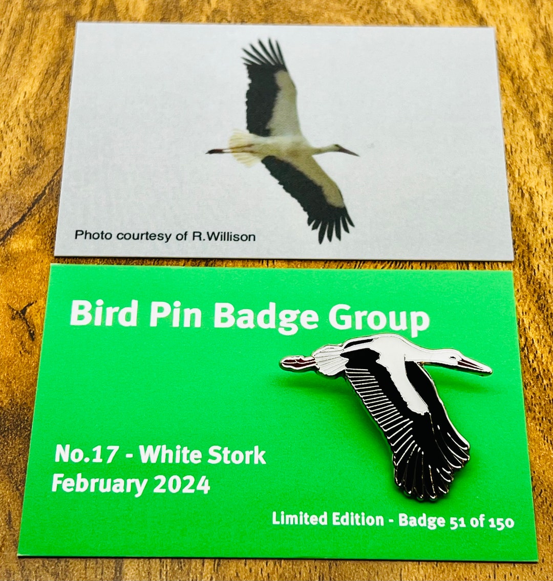 White Stork - No.17 - Bird Pin Badge Group Series - Etsy