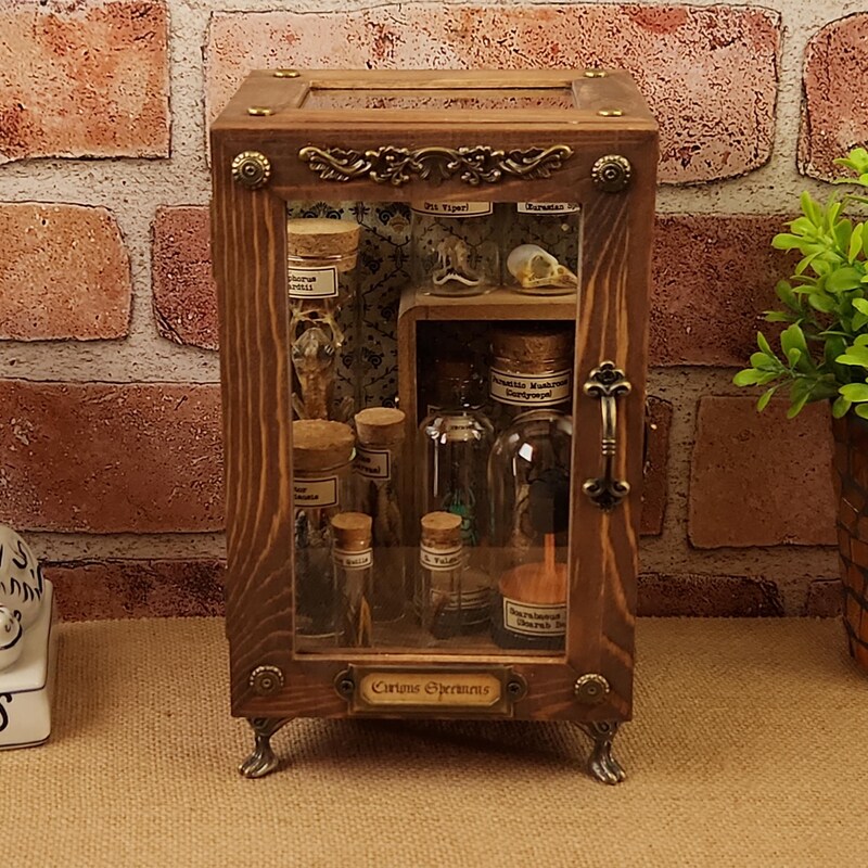 Curiosity Cabinet - Etsy
