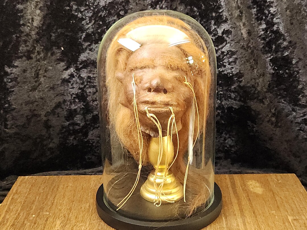 Shrunken Head Glass Dome Display, Oddities Decor, Unique Room Decor ...